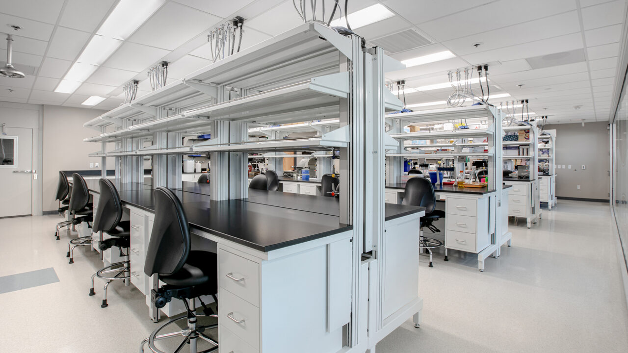Washington University School of Medicine, Cell Biology Lab - The ...